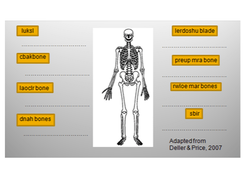 Primary – David's ESOL Blog